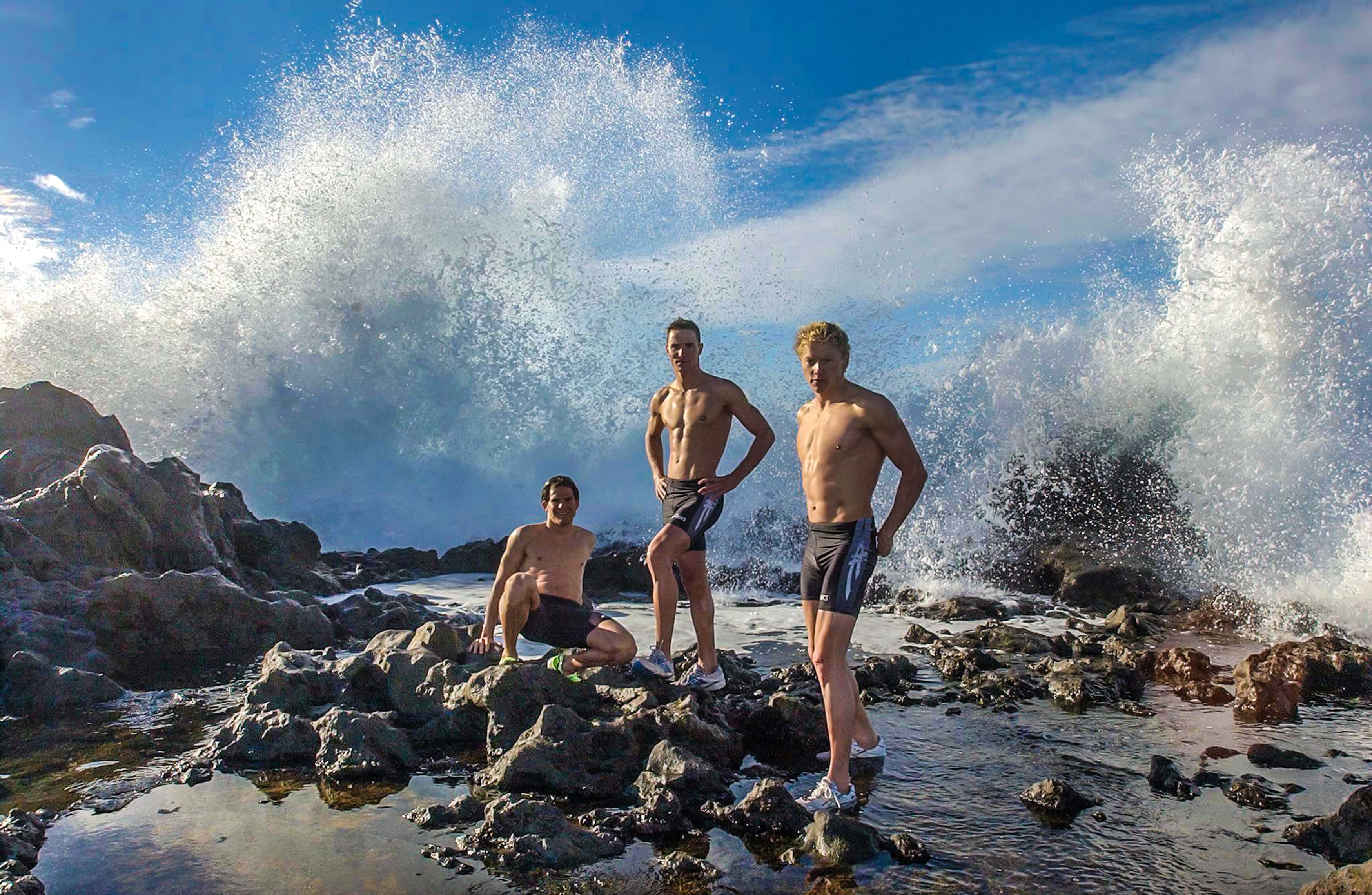 Gallery » Honk Photo